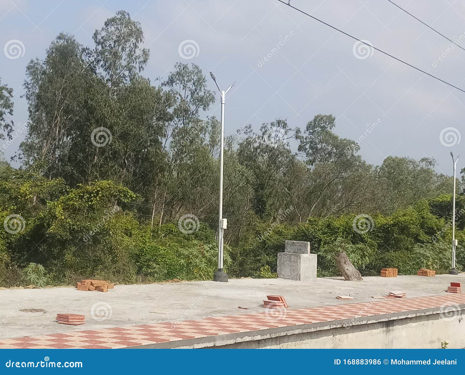 Trees, Platform, Tracks, Pole, Wires Stock Photo - Image of platform ...