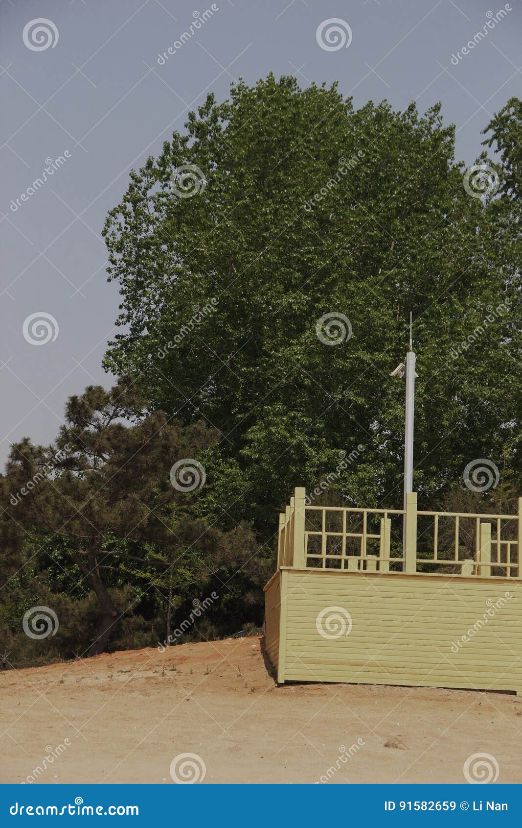 Trees and pole stock image. Image of trees, pole, sand - 91582659