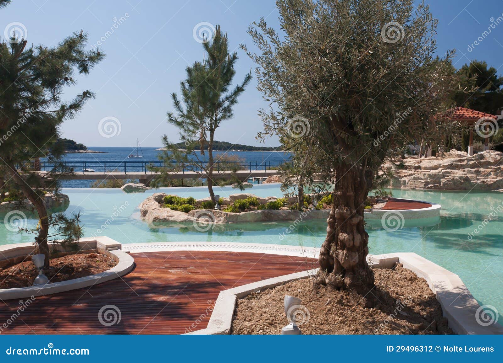 Trees in the pool stock photo. Image of hrvatska, blue - 29496312