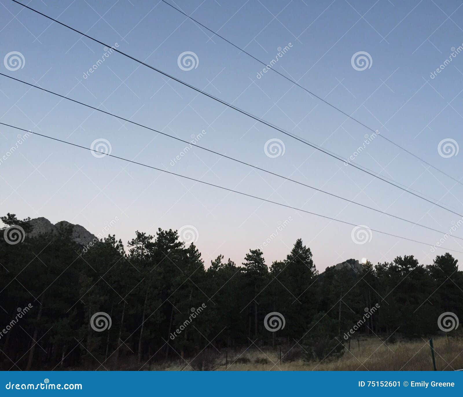 Trees Power Lines Stock Photos - Download 2,418 Royalty Free Photos