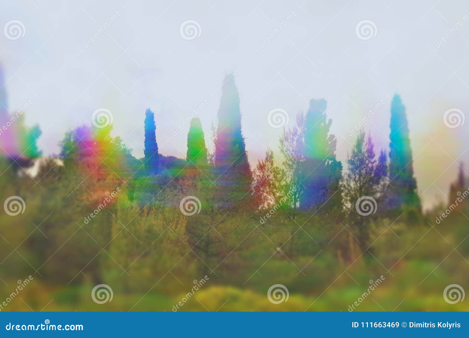 Trees with Prism Reflections Stock Image - Image of daydream, branches ...