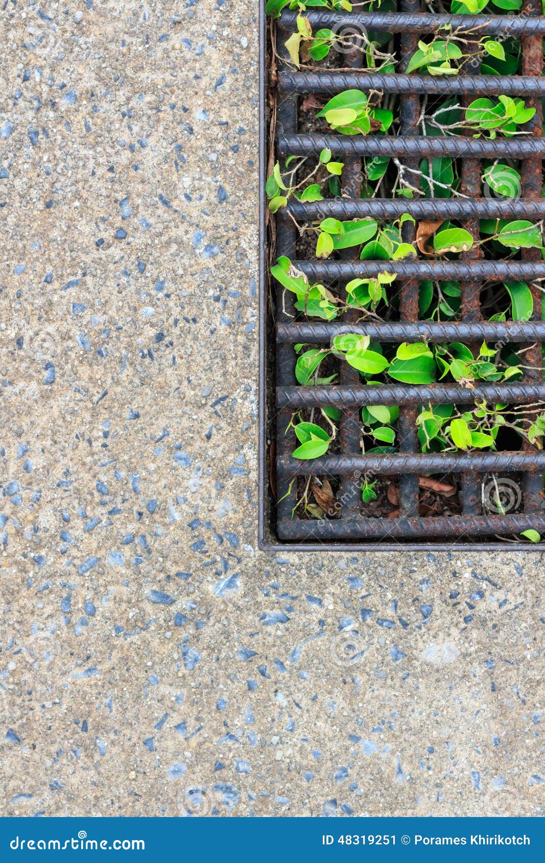 Trees in Prison, Tree Behind Bars Stock Image - Image of prison, world ...