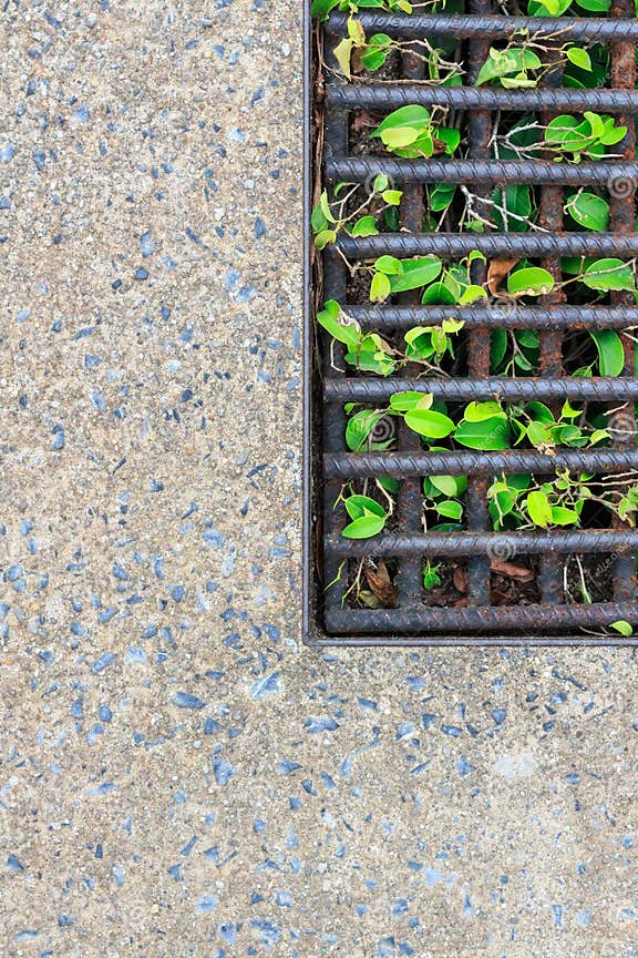 Trees in Prison, Tree Behind Bars Stock Image - Image of prison, world ...