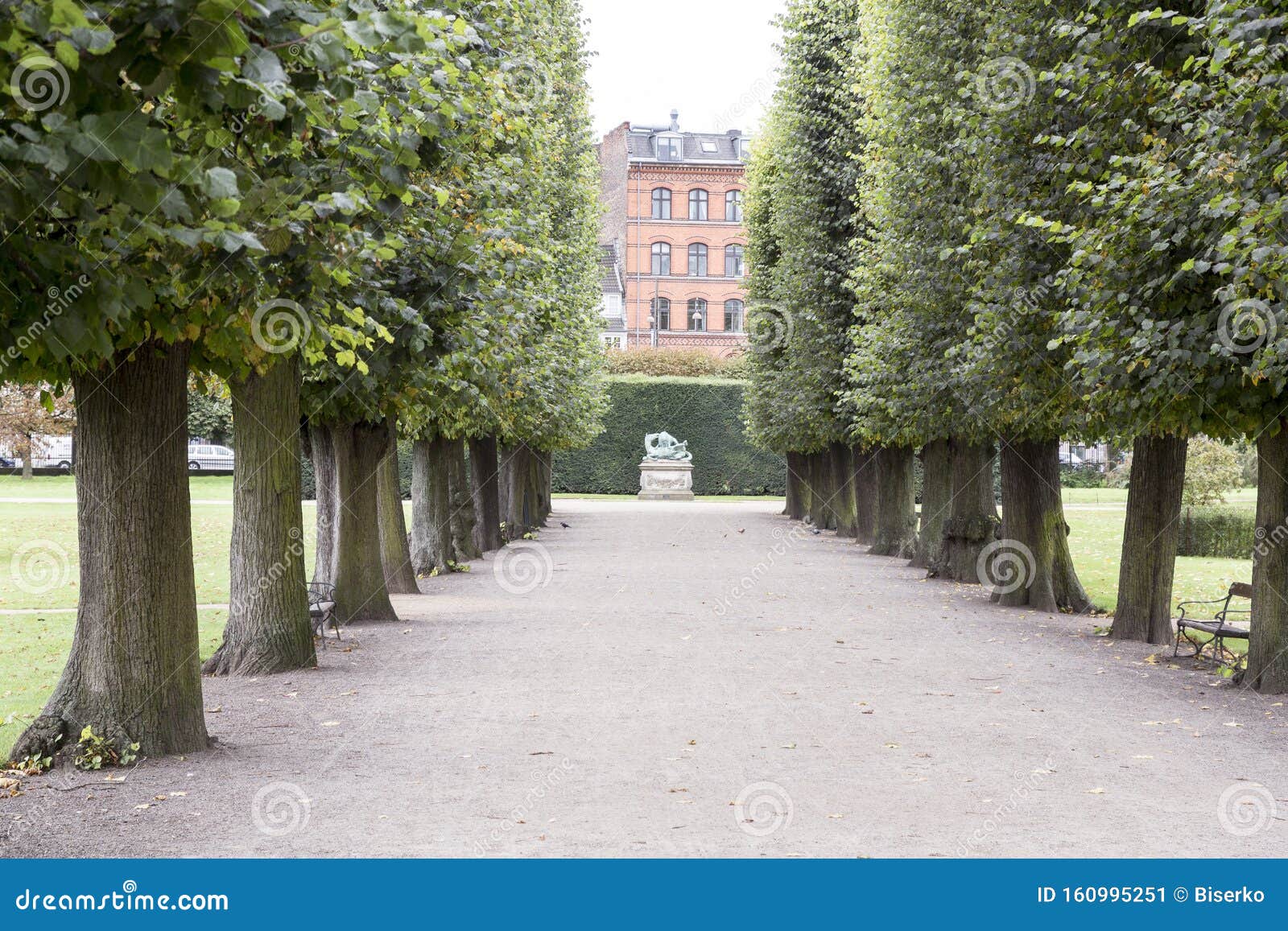 Trees in public park stock image. Image of horticulture - 160995251