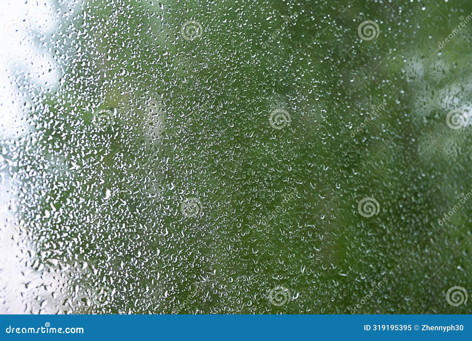Trees through a Rain Soaked Window Stock Image - Image of space, trees ...