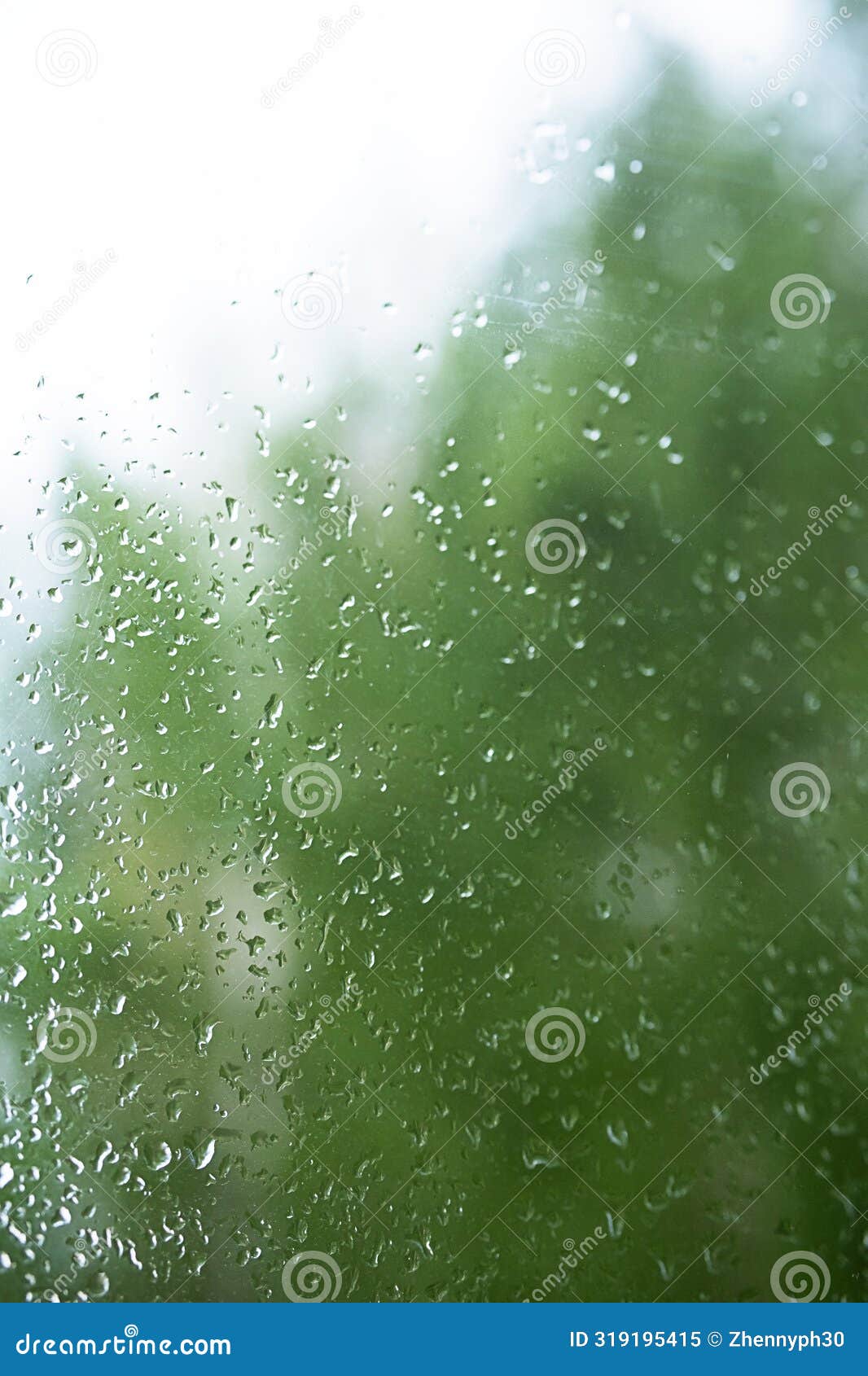 Trees through a Rain Soaked Window Stock Image - Image of change, rain ...
