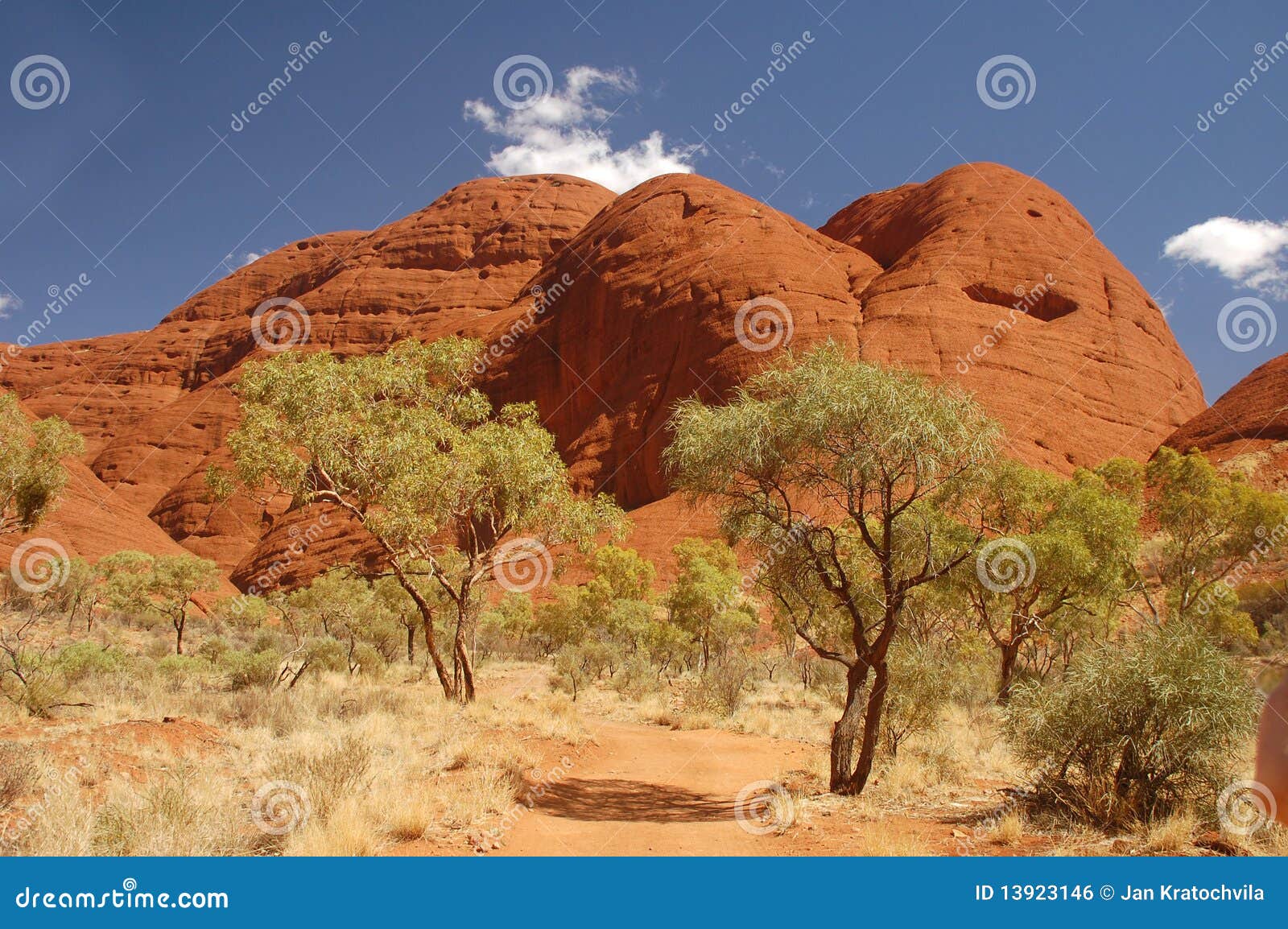 Trees with Red Rocks in Australia Stock Photo - Image of bush, desert ...