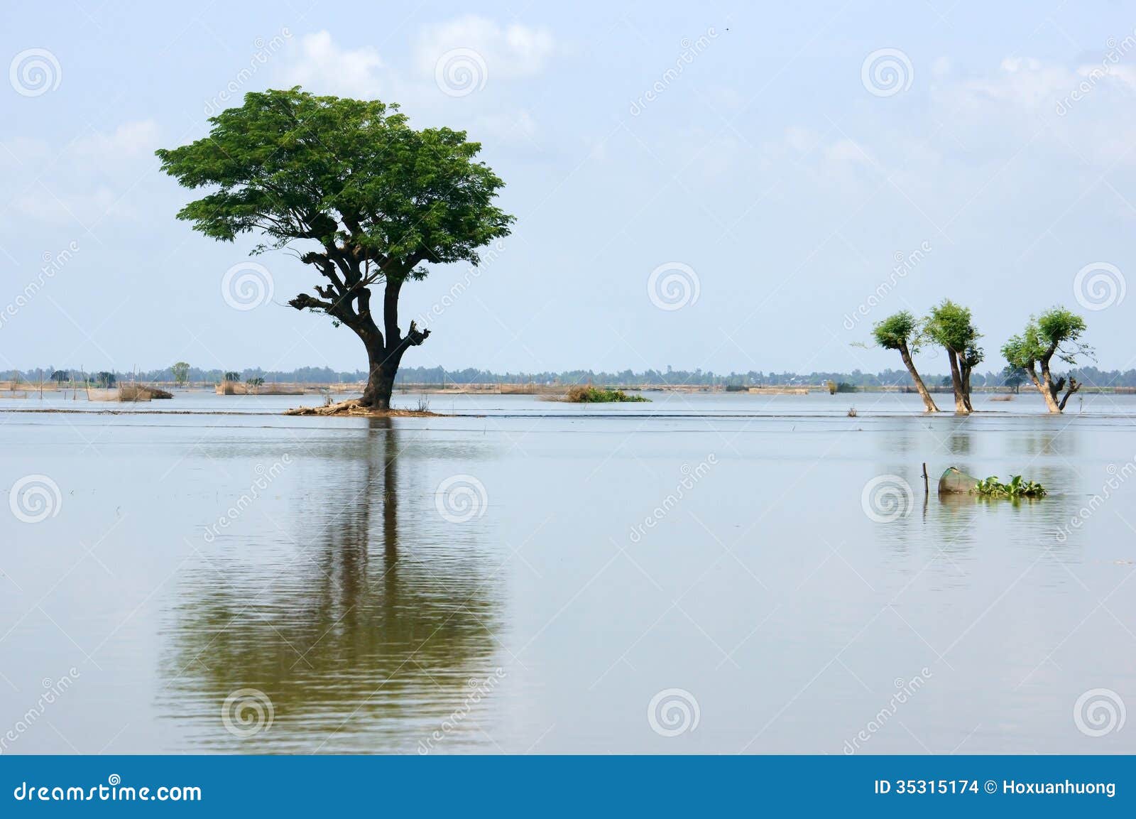 Trees reflect on water stock photo. Image of beauty, asia - 35315174