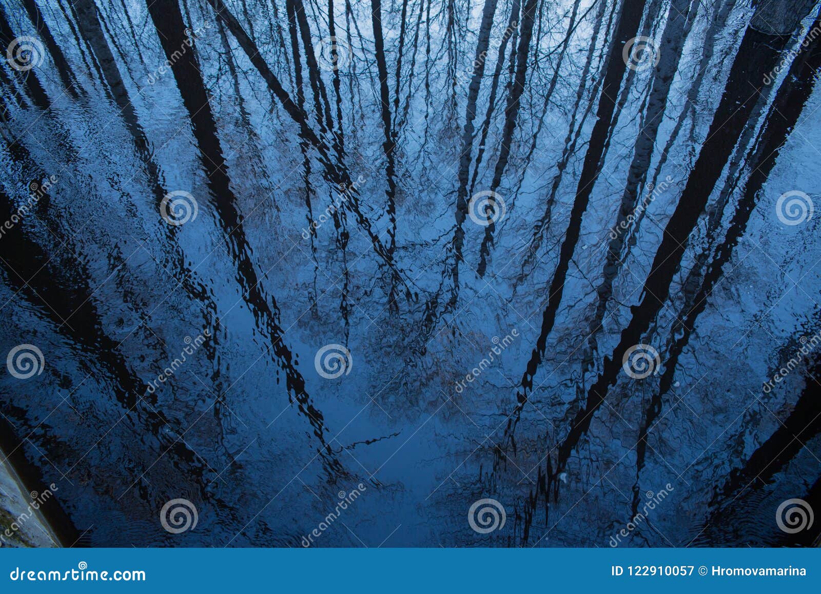 Reflection of Trees in Water Stock Image - Image of landscape, abstract ...