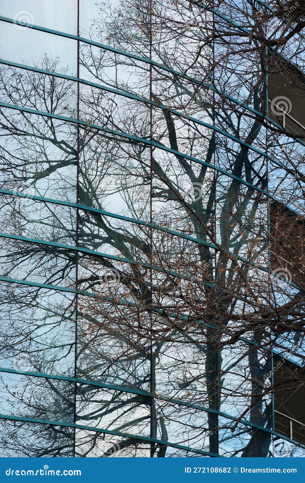 Trees are Reflected in the Glass Facade of a Modern Building Stock ...