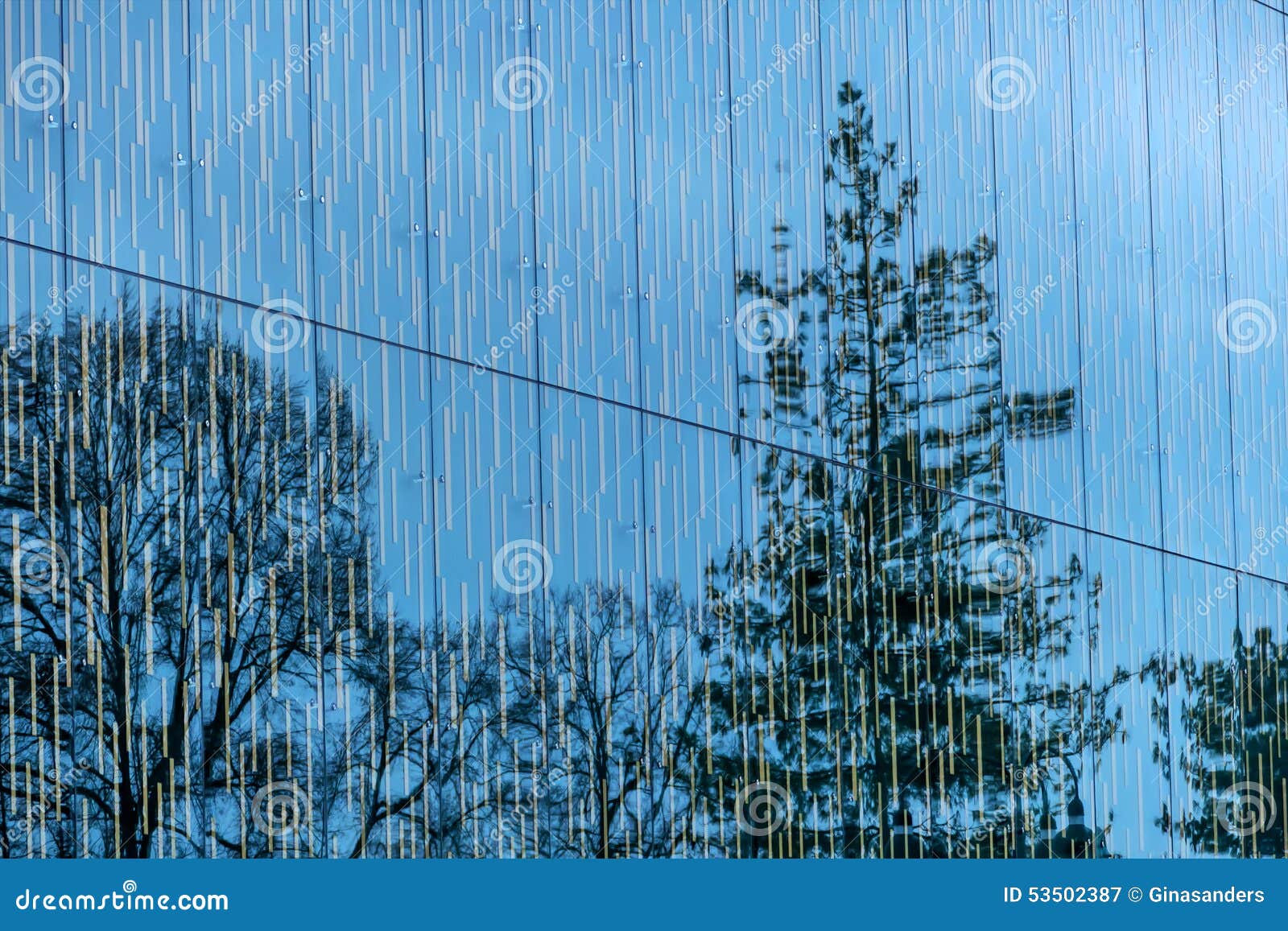 Trees Reflected in Glass Front Stock Image - Image of growth, fuzzy ...
