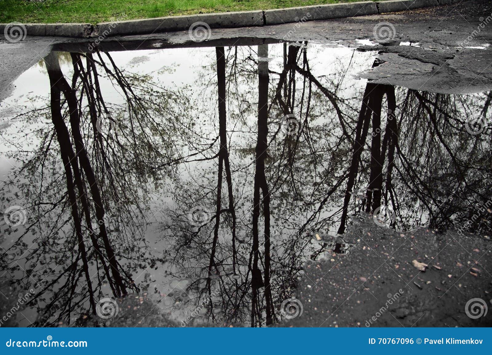 Trees Reflected in a Puddle Stock Photo - Image of puddle, urban: 70767096