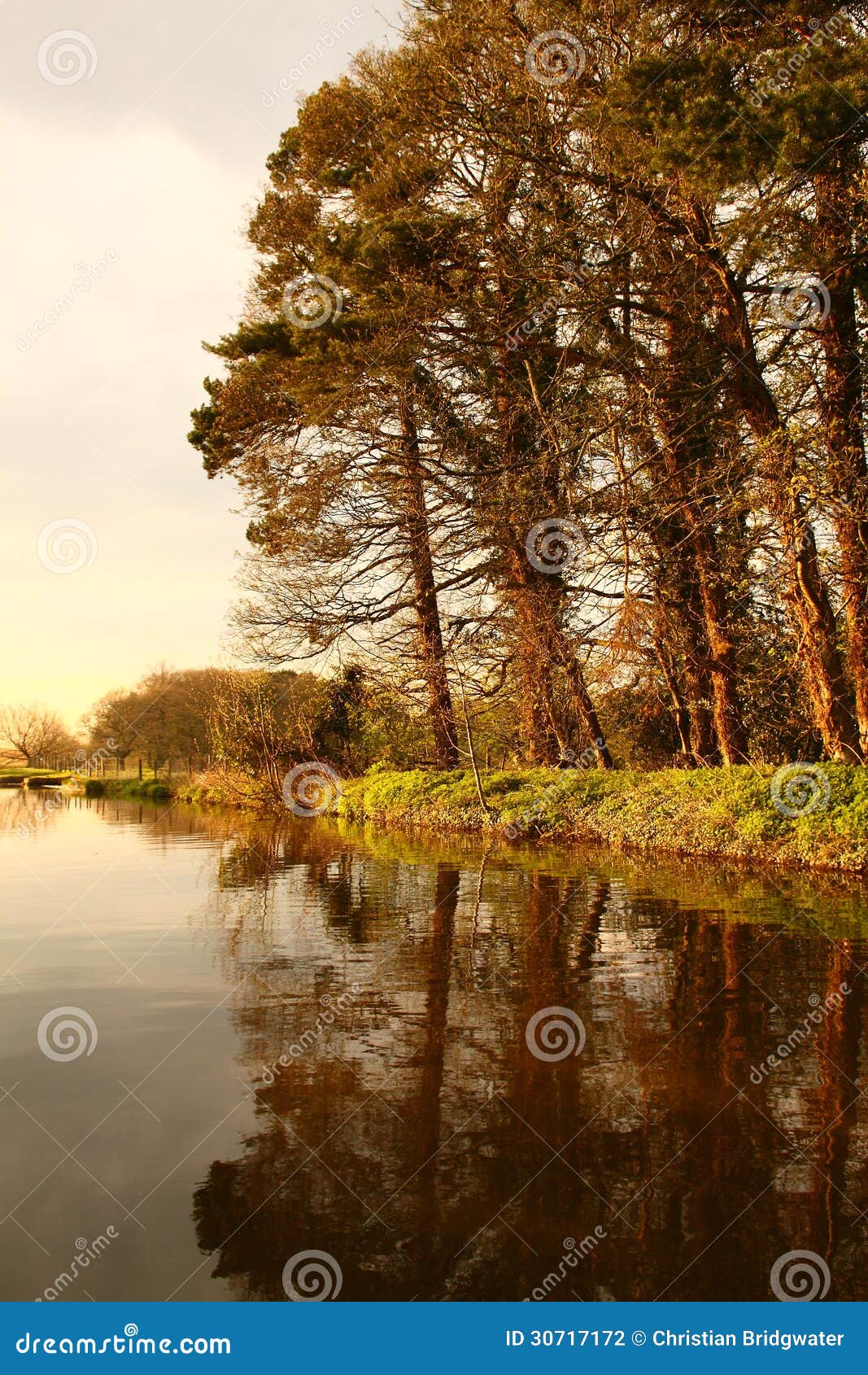 Trees reflected in water B stock photo. Image of water - 30717172