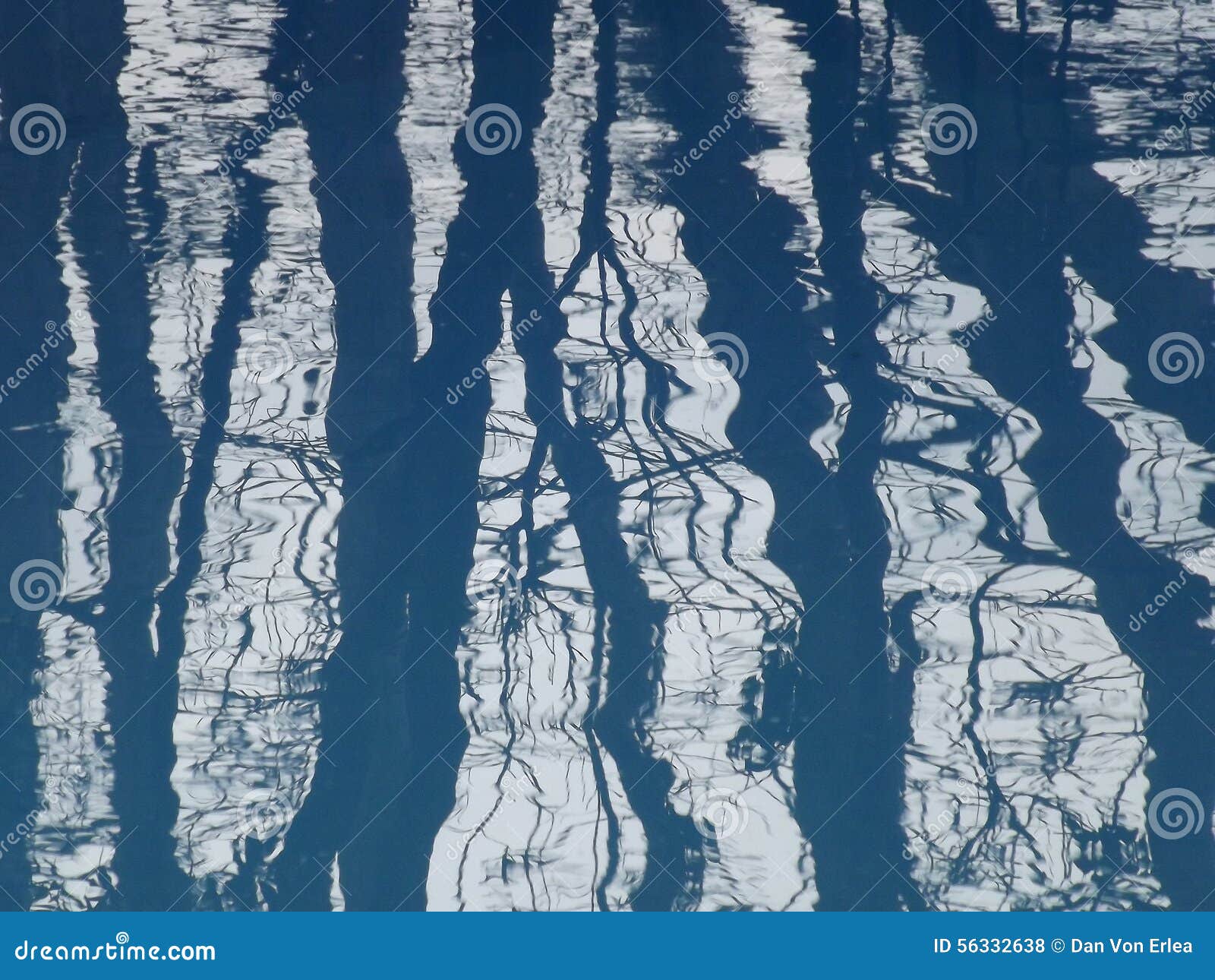 Trees Reflected on the Water Stock Photo - Image of water, reflection ...