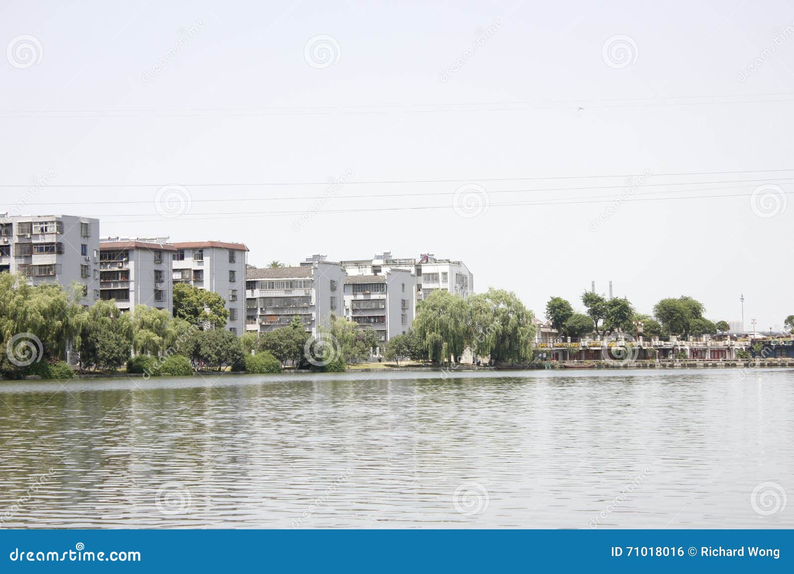 Trees Reflecting on the Lake of the City Moat (Xiangyang,China ...