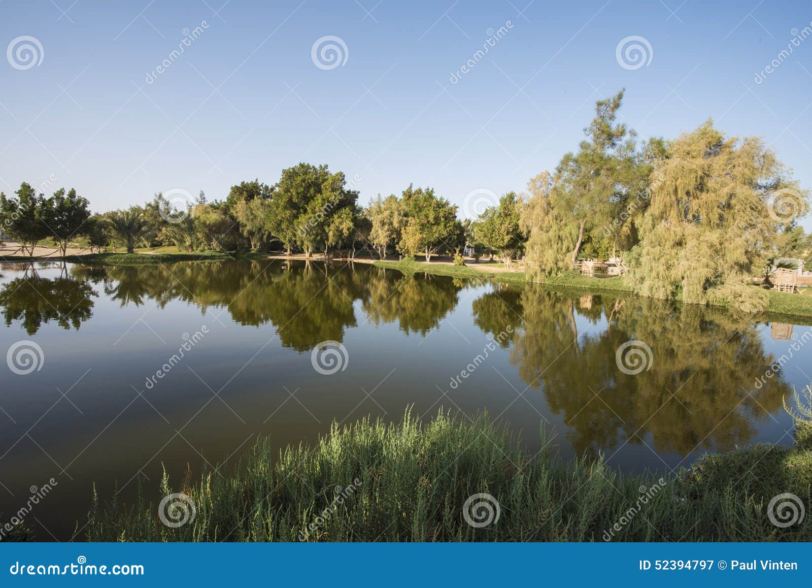 Trees Reflecting in Pond at a Rural Park Stock Image - Image of pond ...