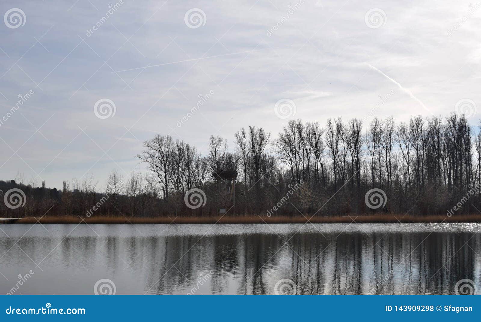 Trees Reflecting on Still Water Stock Photo - Image of lake, outdoors ...