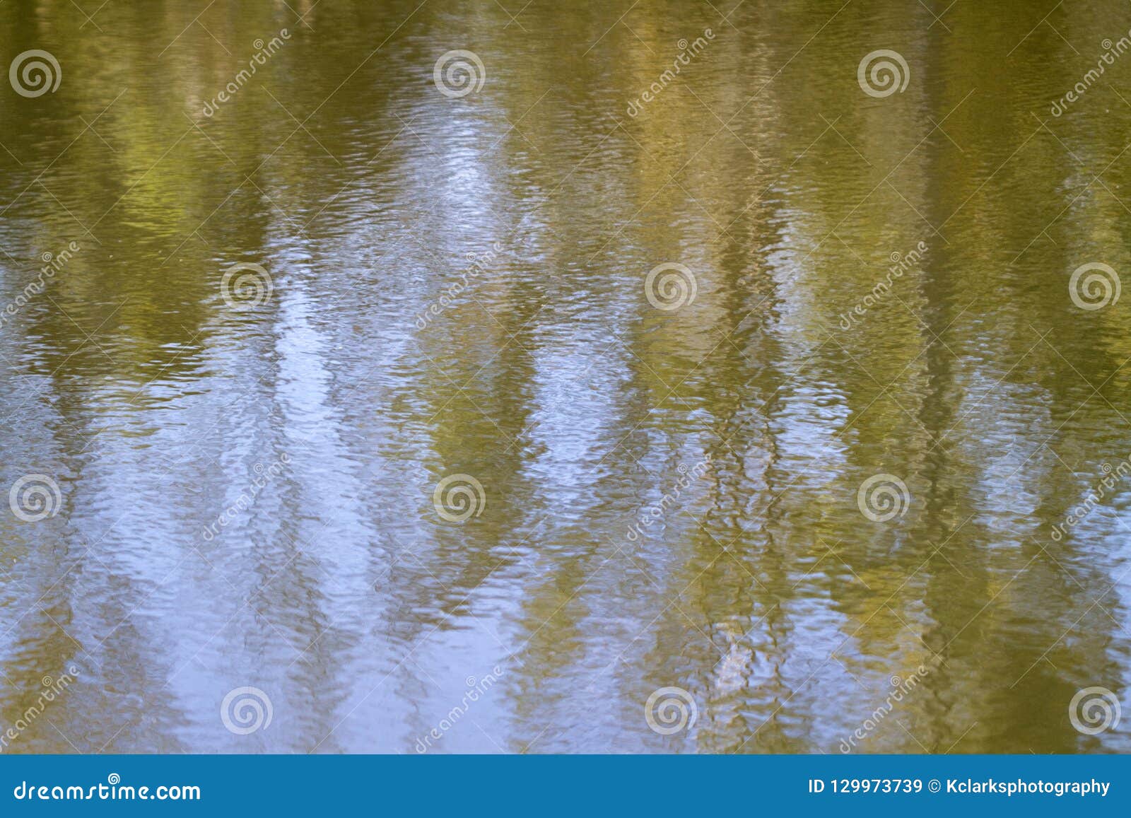 Trees Reflection in Water Background Stock Image - Image of water ...