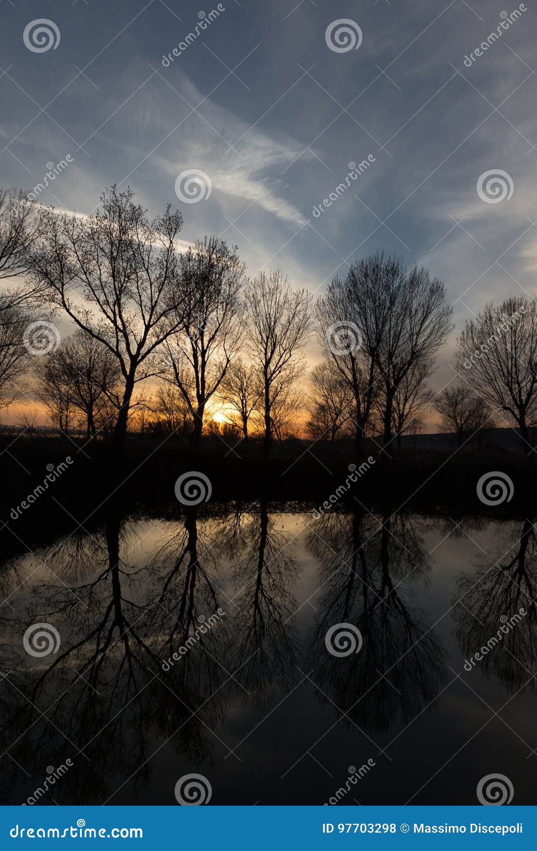 Trees Reflections and Sunset Stock Photo - Image of light, plants: 97703298