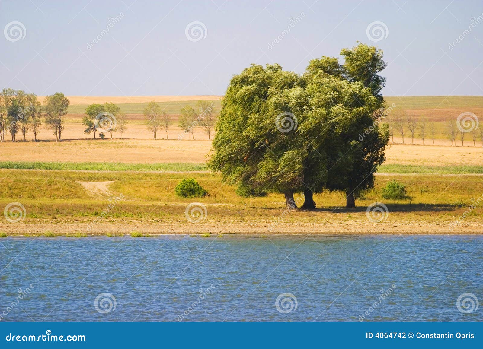 Trees on river banks stock photo. Image of summer, landscaped - 4064742
