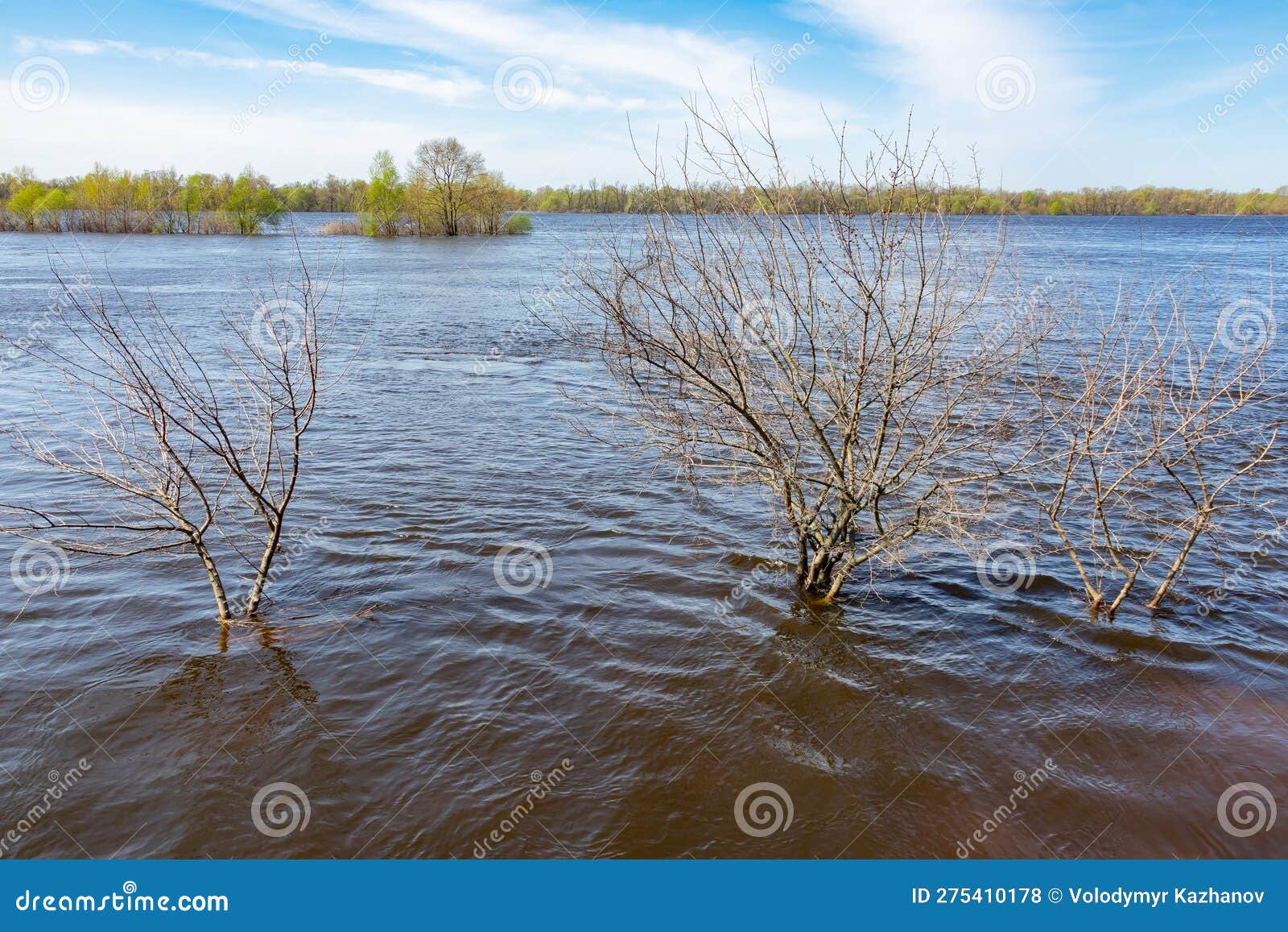 Trees on the River Bank Flooded with Water during the Spring Flood ...