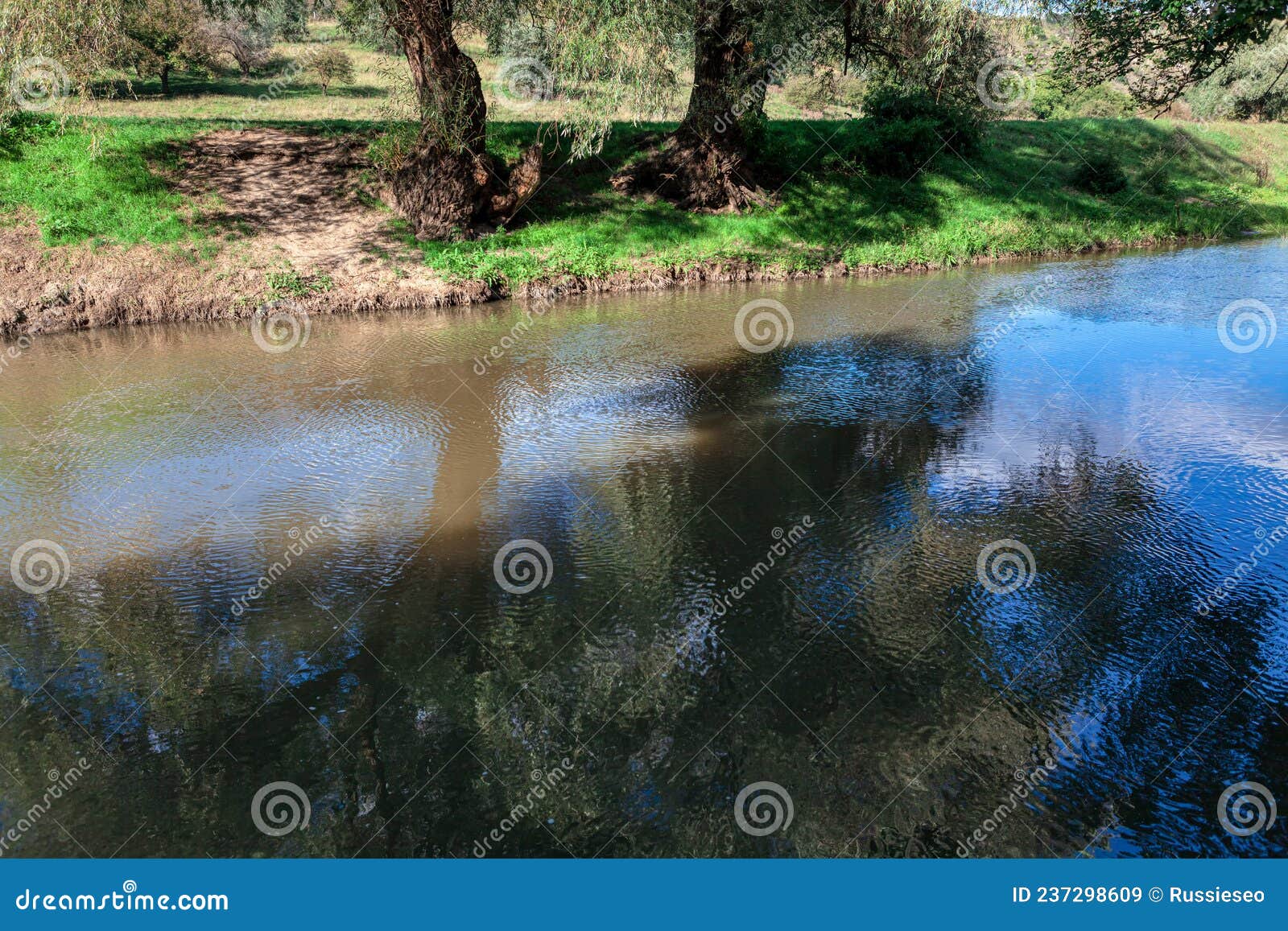 Trees on the River Bank in the Springtime Stock Image - Image of april ...