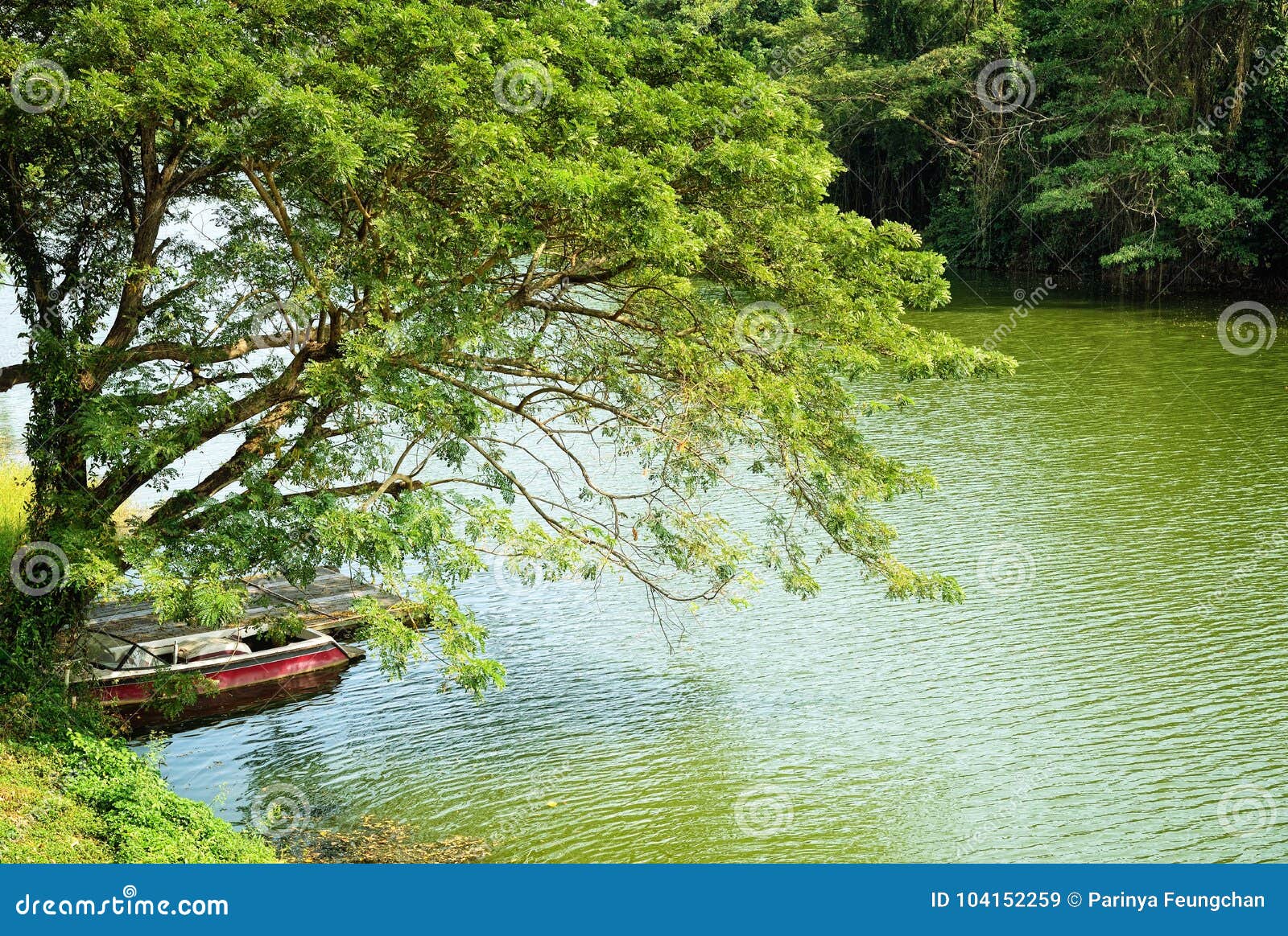 Trees by the River and Boat Stock Image - Image of sunny, park: 104152259