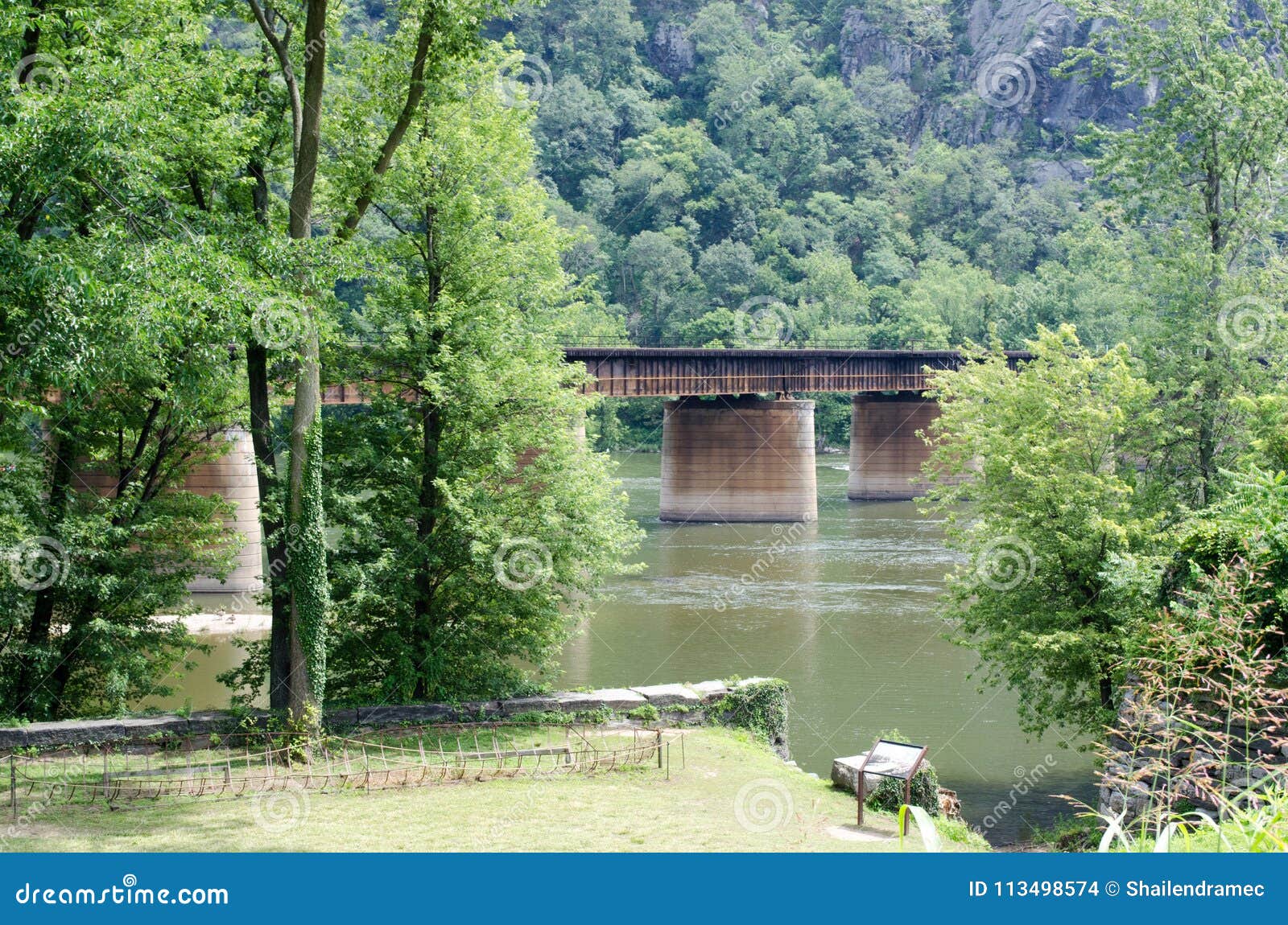 Trees at the river stock photo. Image of leaf, bridge - 113498574