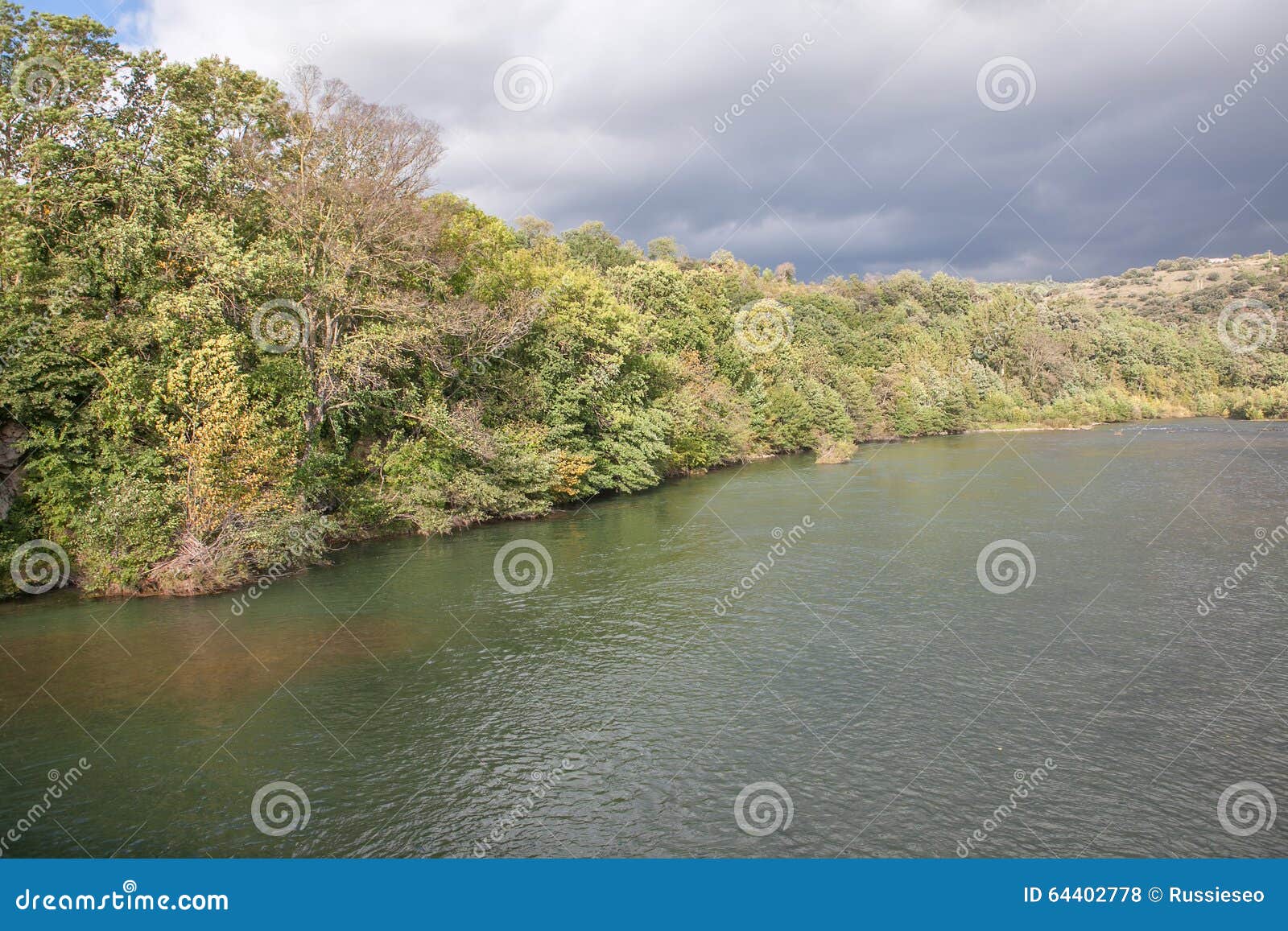 Trees on the riverside stock photo. Image of idyllic - 64402778