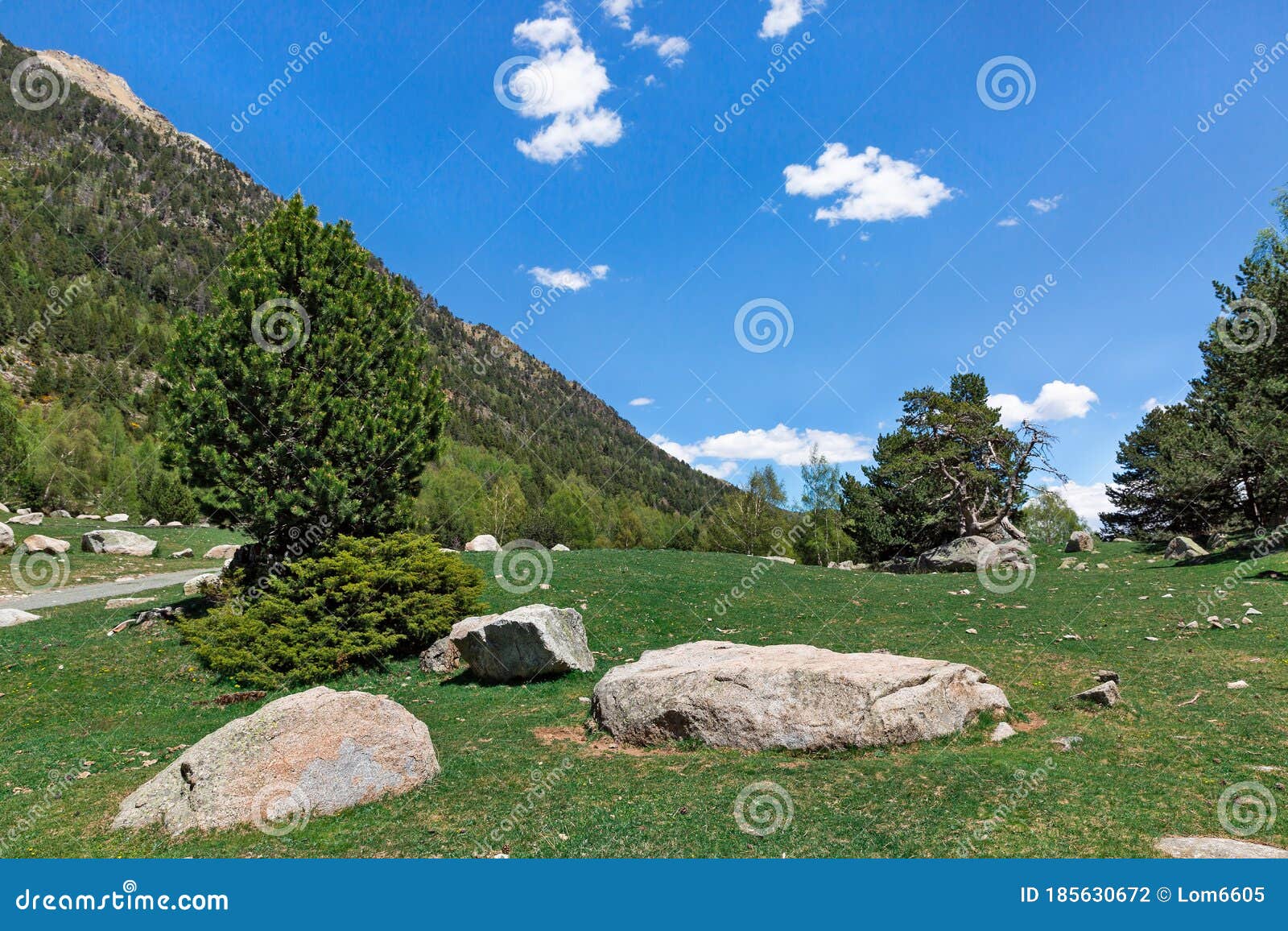 Trees and Road in the Pyrenees Mountains Stock Photo - Image of nature ...