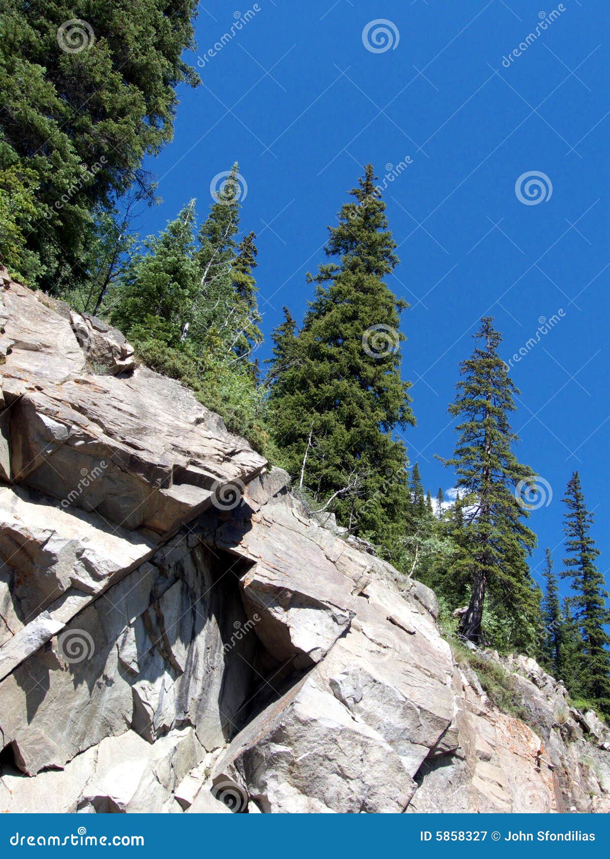 Trees in Rock stock image. Image of high, forest, mountains - 5858327