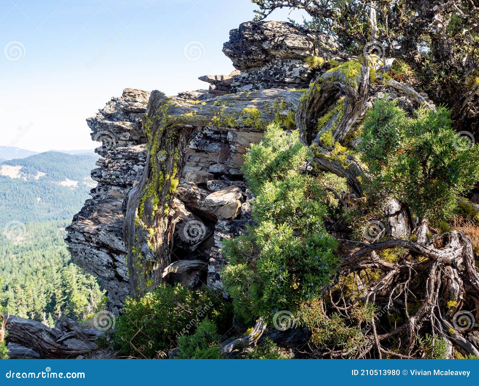 Trees and Rock Cliffs at the Mountain Top Stock Photo - Image of summit ...