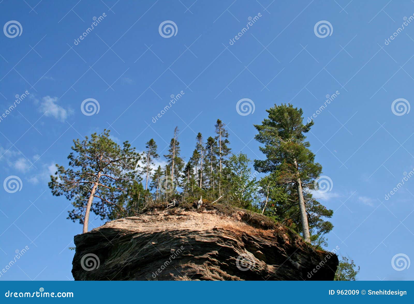 Trees on rock formation stock image. Image of foliage, nature - 962009