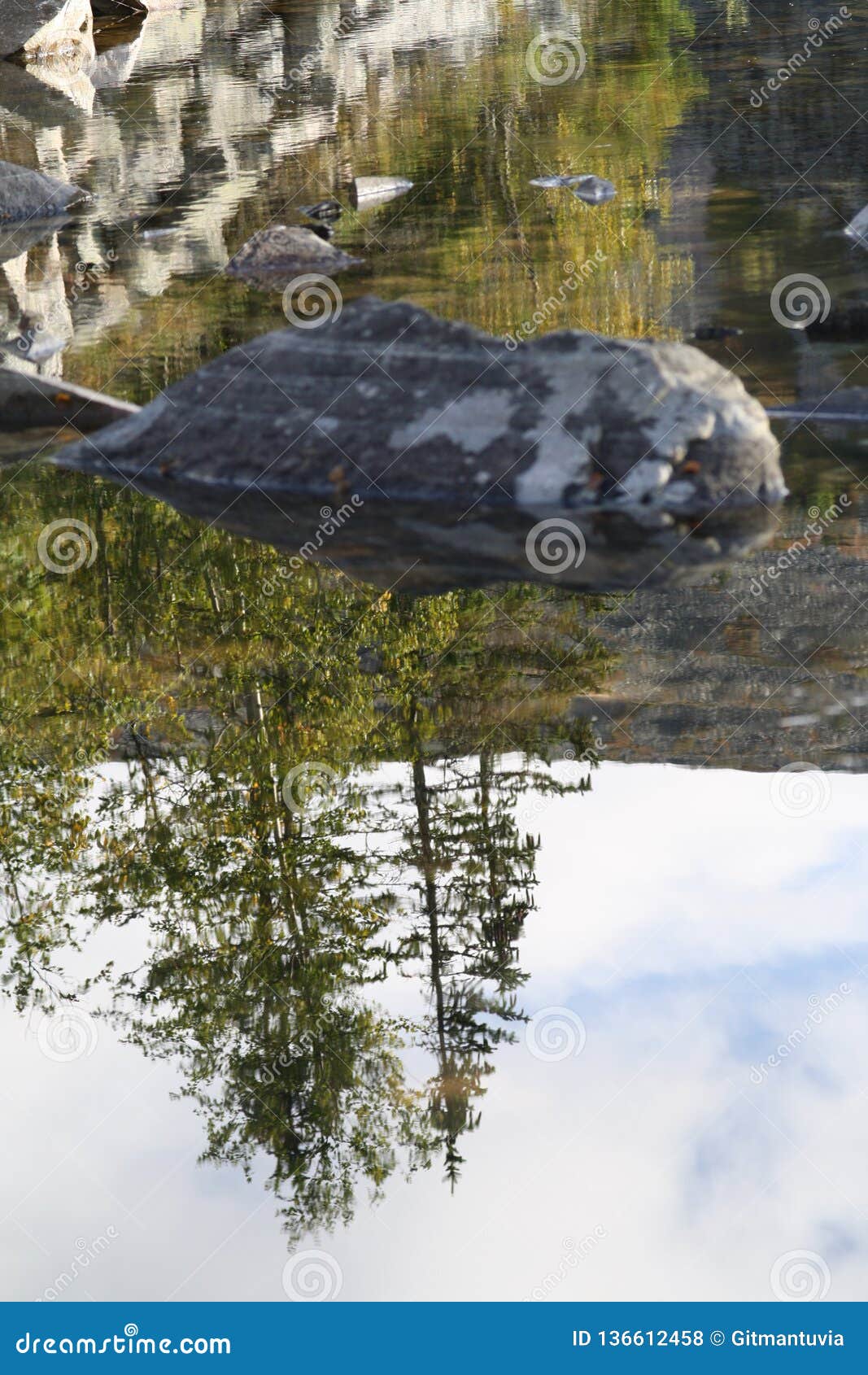Trees, Rocks and Their Reflection in the Stream. Stock Photo - Image of ...