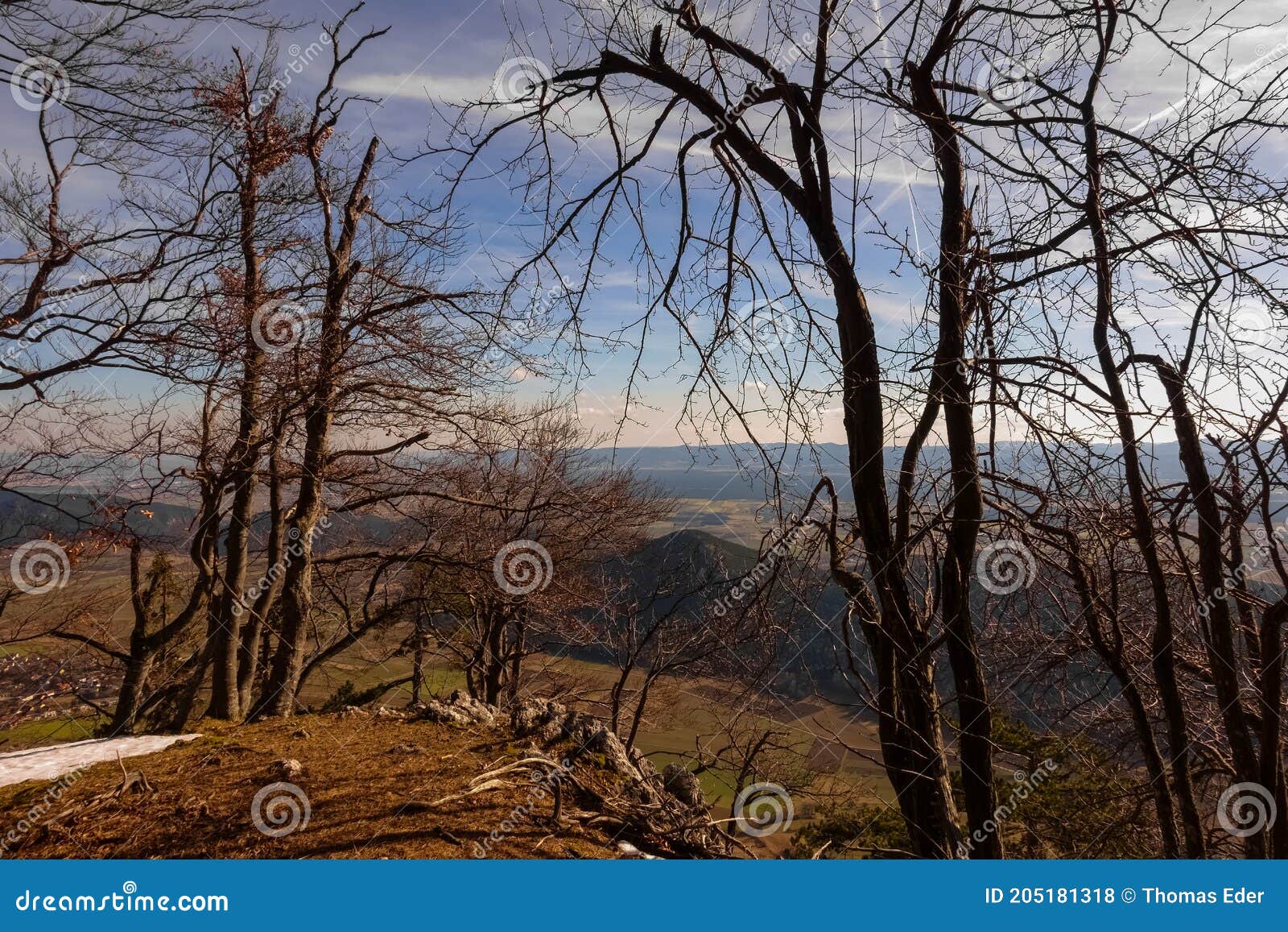 Trees and Rocky Outcrop during Hiking in the Mountain Range Stock Photo ...