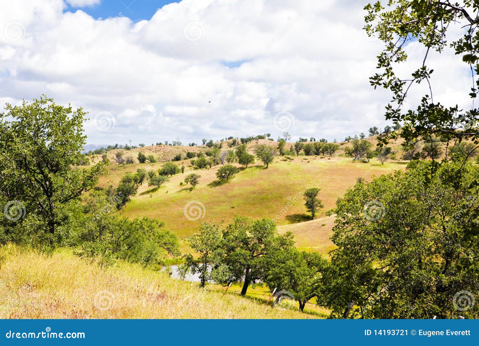 Trees on Rolling Hills stock image. Image of cloud, grass - 14193721