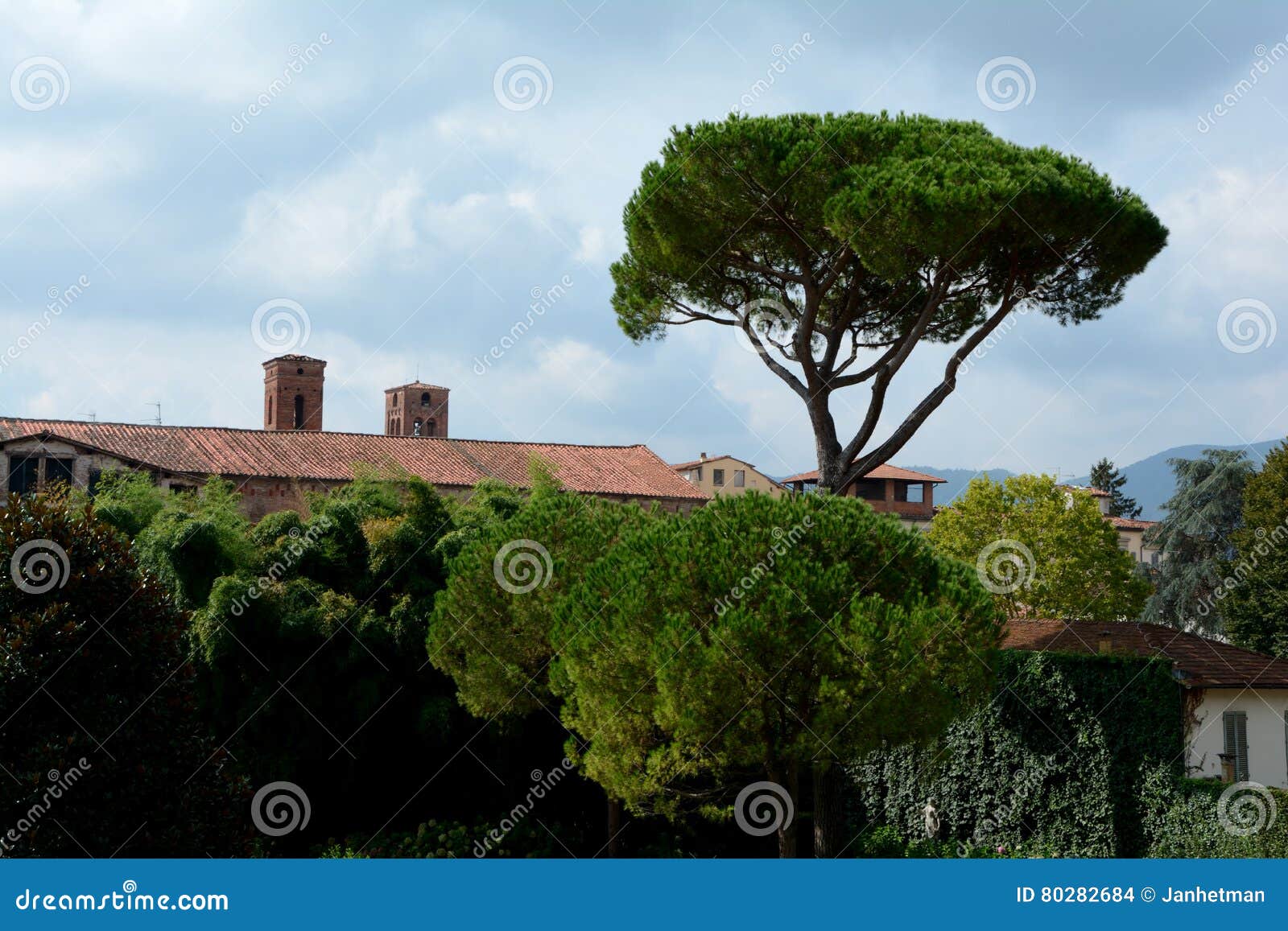 Trees and Roof in Lucca in Italy Stock Photo - Image of italy, chimney ...