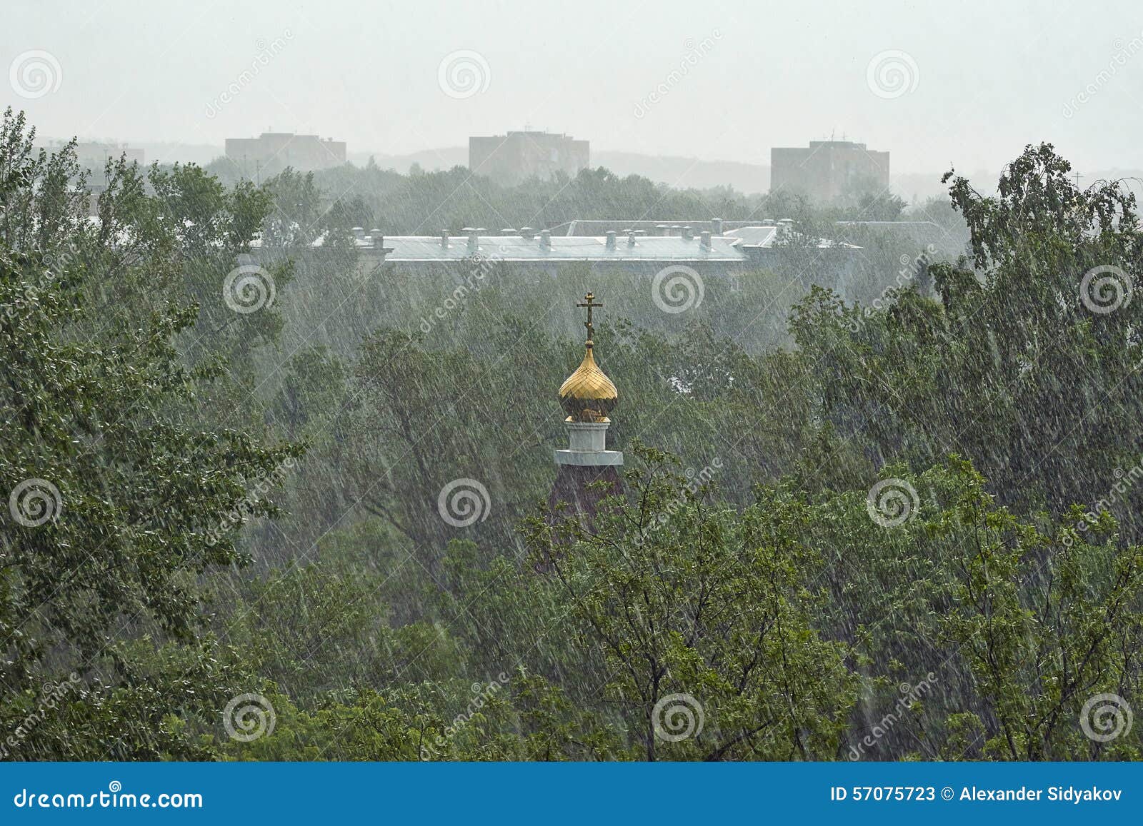 Trees and Rooftops Under Rain. Stock Image - Image of eavestrough ...