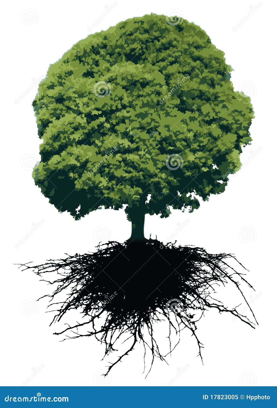 Trees with roots stock vector. Illustration of trace - 17823005