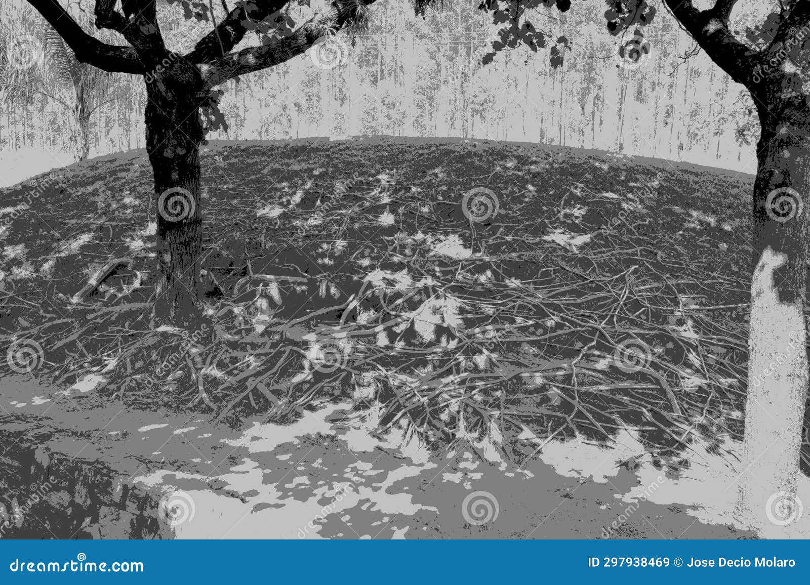 Trees with Roots Appearing in Terrain with Soil and Grass. Trees with ... Trees with Roots Appearing in Terrain with Soil and Grass. Trees with ...