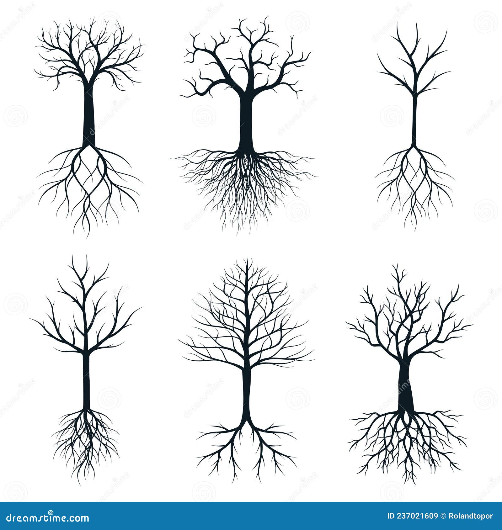 Trees with Roots. Vector Outline Illustration Stock Vector ...