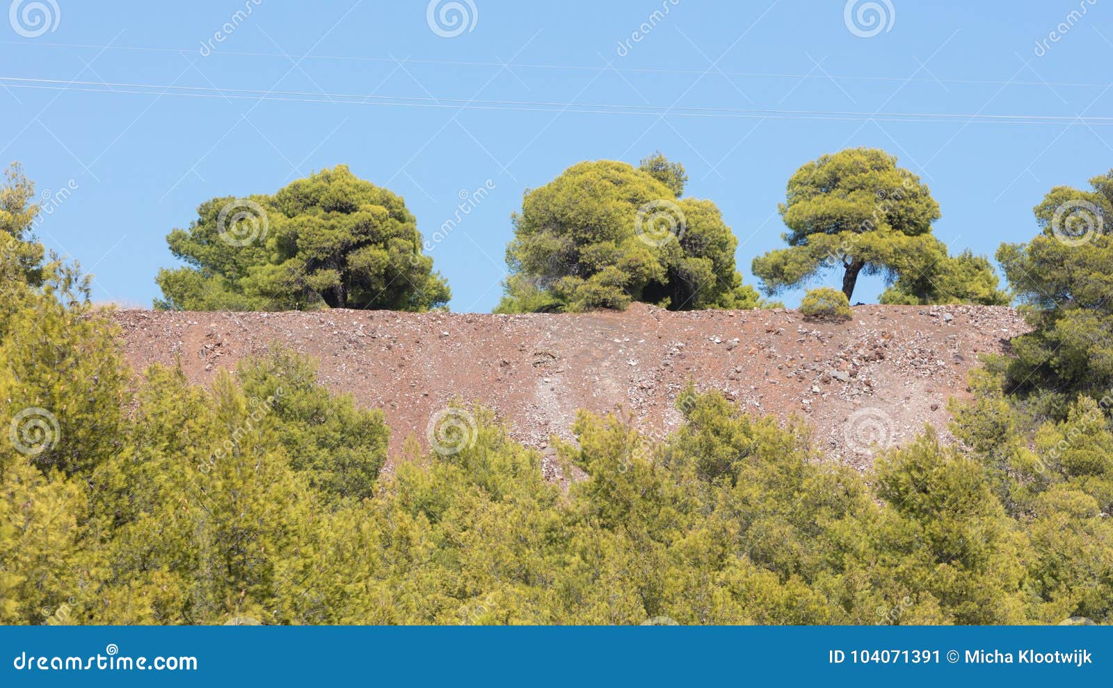 Trees on a row in Greece stock image. Image of greek - 104071391