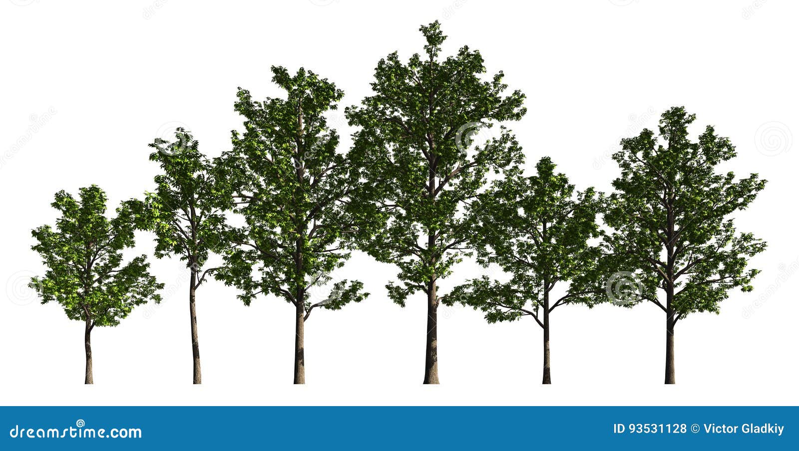 Trees Row Isolated White Stock Illustrations – 802 Trees Row Isolated ...