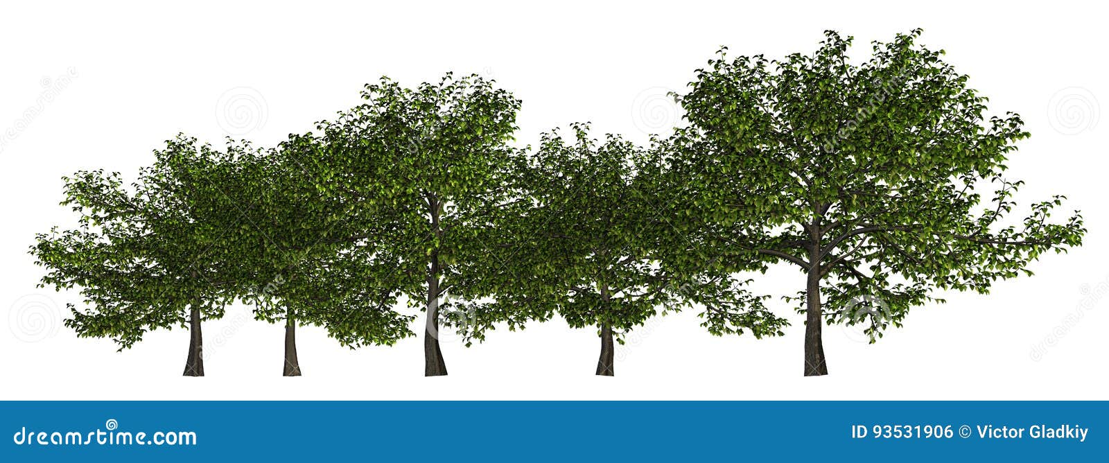 Trees in a Row Isolated on White 3d Illustration Stock Illustration ...
