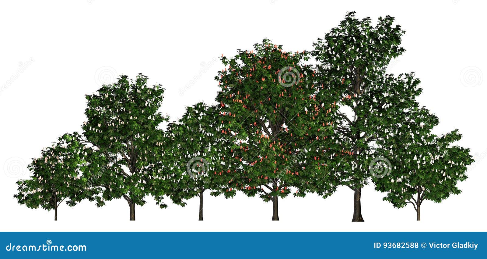 Trees in a Row Isolated on White 3d Illustration Stock Illustration ...