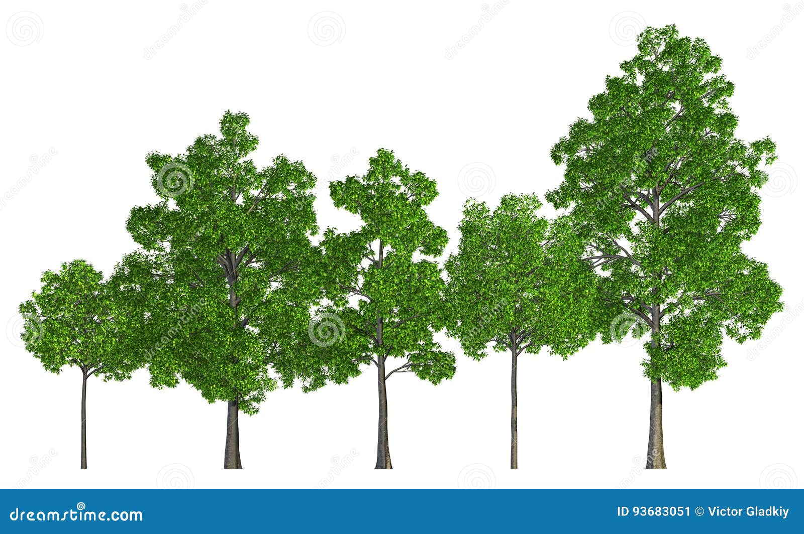 Trees in a Row Isolated on White 3d Illustration Stock Illustration ...