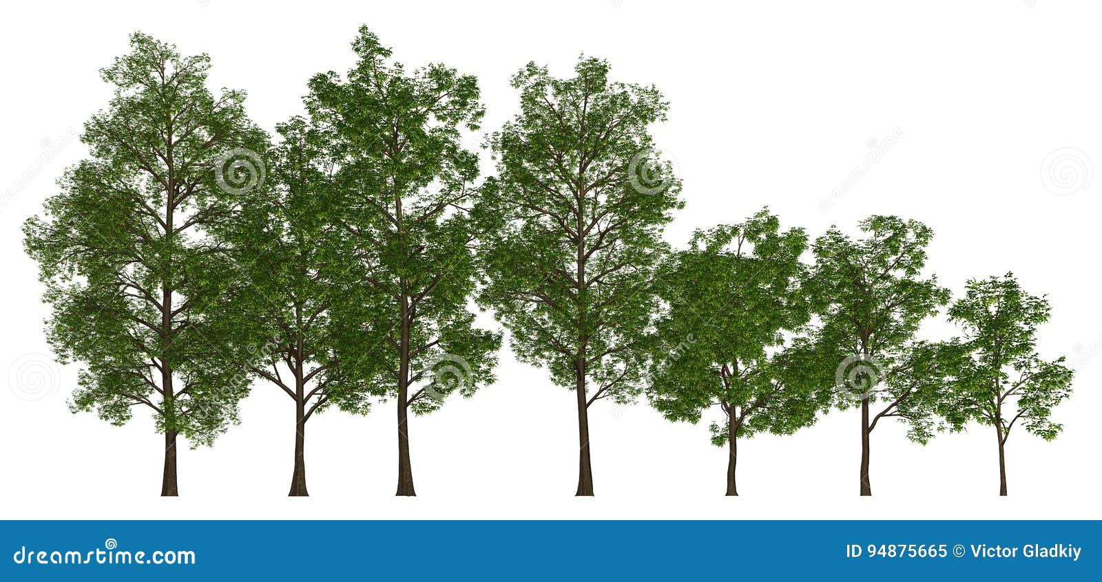 Trees in a Row Isolated on White 3d Illustration Stock Illustration ...