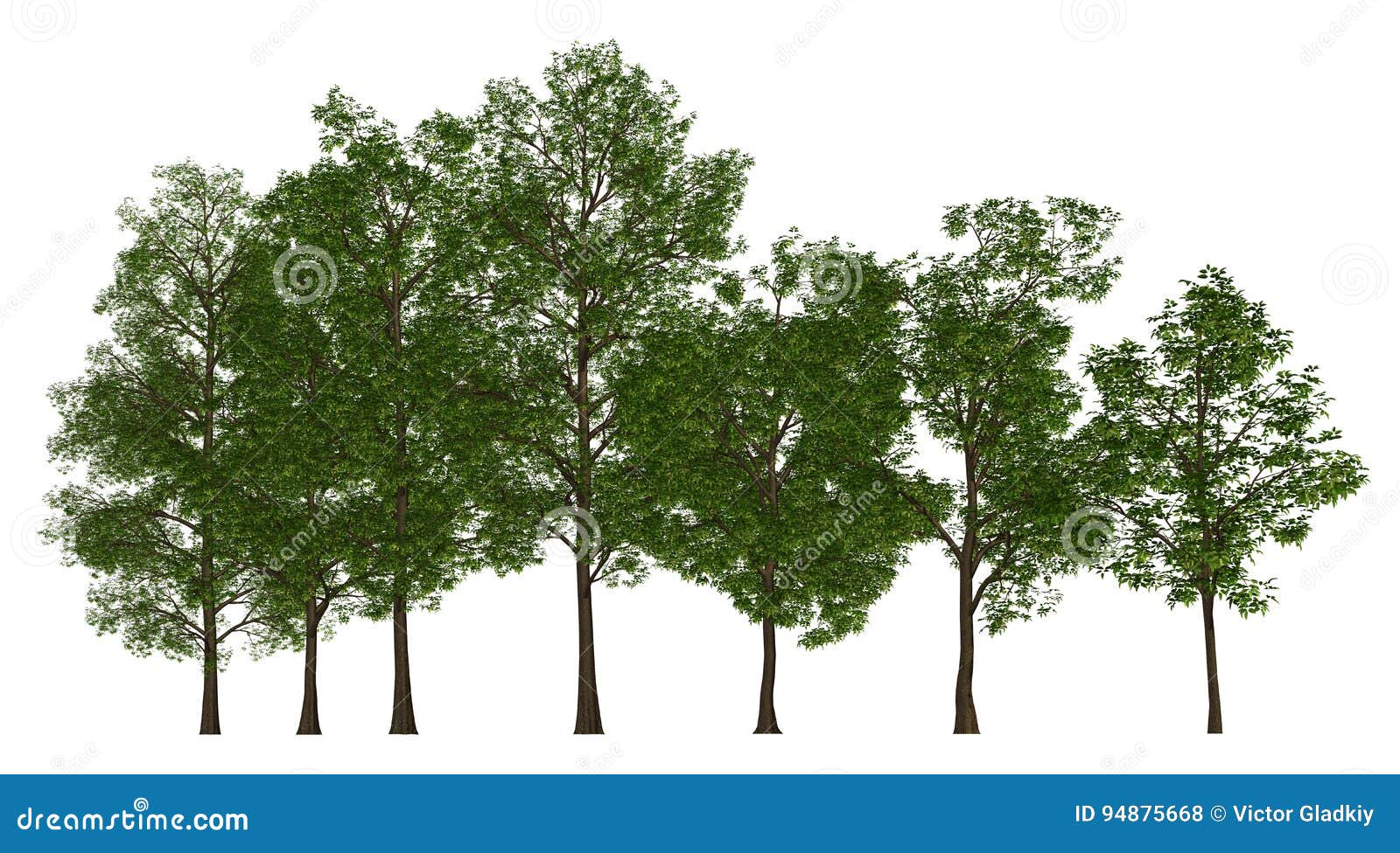 Trees in a Row Isolated on White 3d Illustration Stock Illustration ...