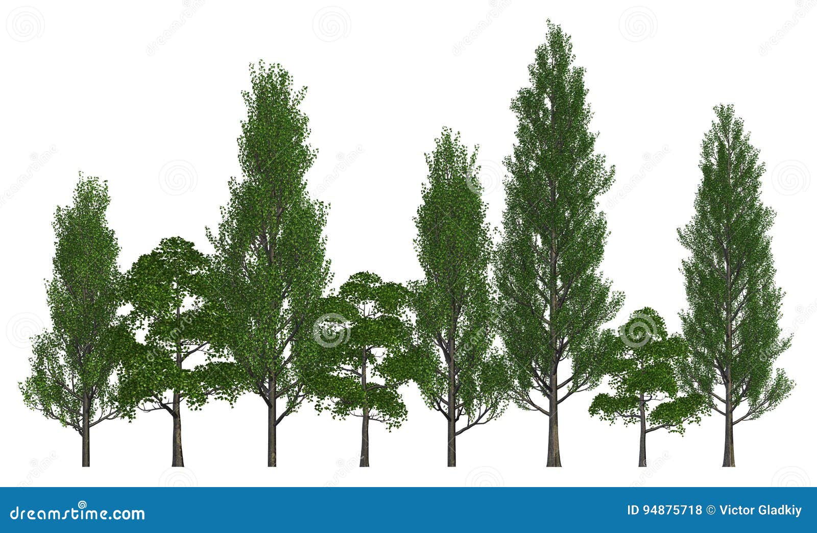 Trees in a Row Isolated on White 3d Illustration Stock Illustration ...