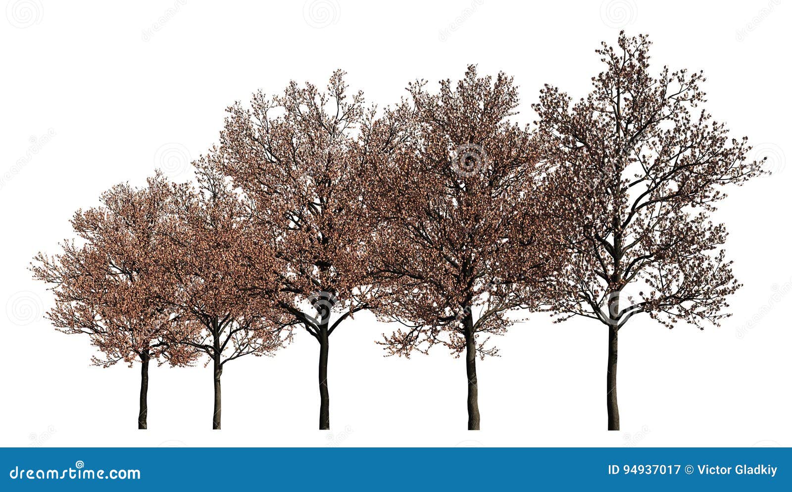 Trees in a Row Isolated on White 3d Illustration Stock Illustration ...